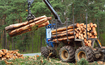 Forestry policy, support and regulations | Scottish Forestry